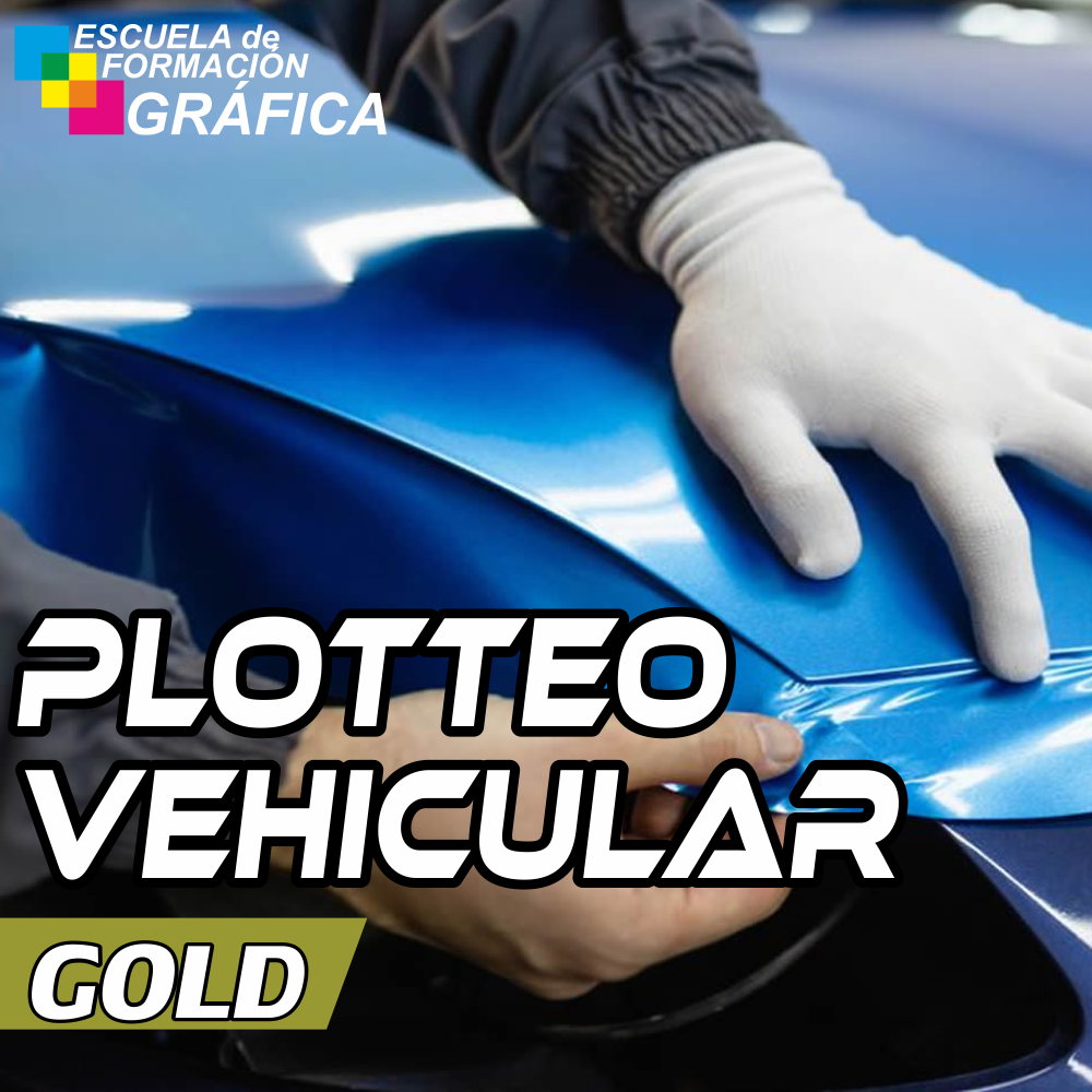 Curso de Plotteo Vehicular - Gold - EFG - Escuela de Formación Gráfica